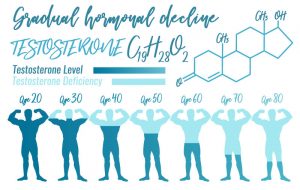What blood tests are used to determine your testosterone levels?